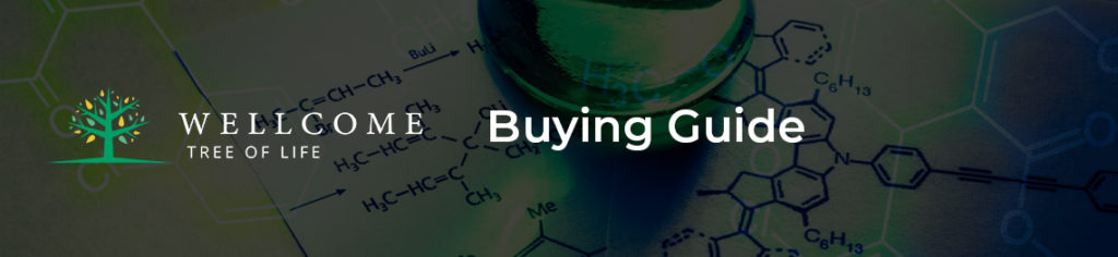 10 Best Lab Shoes (2023 UPDATED) Complete List