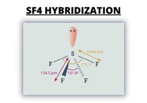How Many Lone Pairs of Electrons are on the S Atom in SF4?