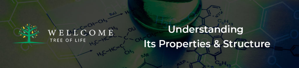 N2 Lewis Structure: Full Guide (2023 Updated)